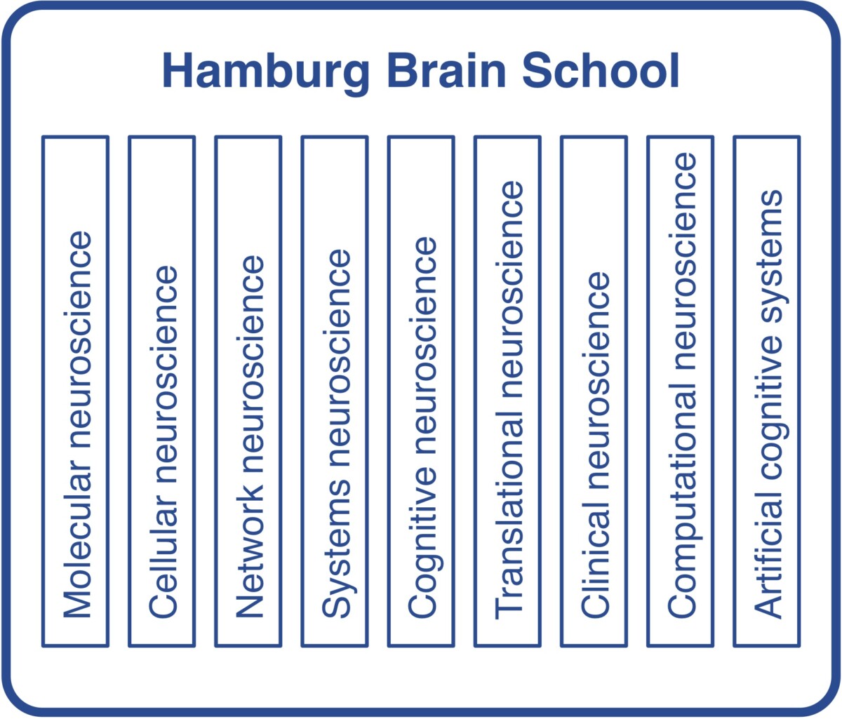 Research – Hamburg Brain School